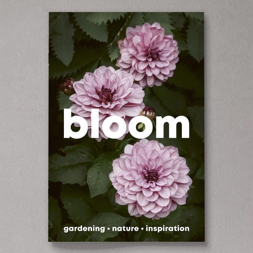 Bloom Magazine - Issue 16 – ASOBI STORE